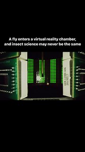 176K views · 583 reactions | In a lab in central Pennsylvania, a fly...