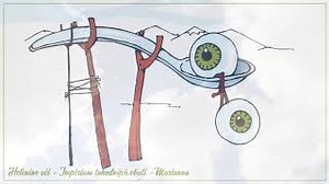 Heľenine oči - Marianna