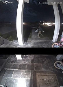 378K views · 596 reactions | The Snowflake-Taylor Police Department...