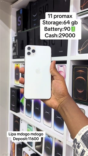 11 promax ✅