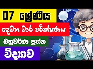 Grade 7 Science 2nd Term Test Papers And Answers Sinhala Medium | 7 ශ්‍රේණිය විද්‍යාව දෙවන වාරය