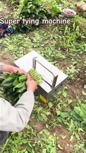 Vegetable Bundling with a Tying Machine…#machine #craft