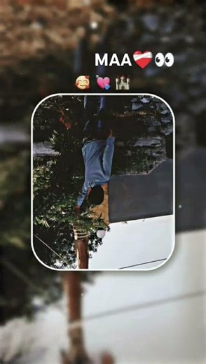 11 जनवरी 2026