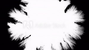 Set of 5 video transitions of wite expanding paint bleeds on black backdrop. Can be used as a graphic element, a luma matte to reveal images or transition between clips.