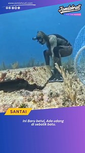 2.7M views · 39K reactions | Ini baru betul orang cakap Ada udang di sebalik batu. - #diving #travel #viralvideoシ | JomlahCuti | Facebook