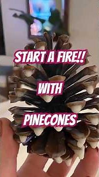 Ultimate Fire Starters - DIY Fire Starter Crafts