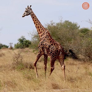 32K views · 491 reactions | It's okay. | ClickHole | Facebook