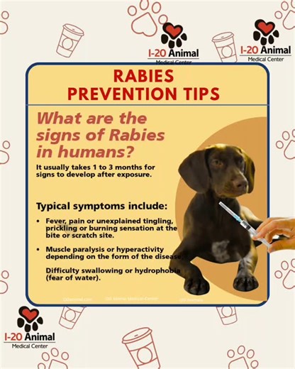 Rabies is preventable but also UN-tretable. Bring your pets into I20AMC today for the yearly Vaccinations to keep your pet & your family safe! #rabies #pethospital #vaccinateyourpets | I-20 Animal Medical Center | Facebook