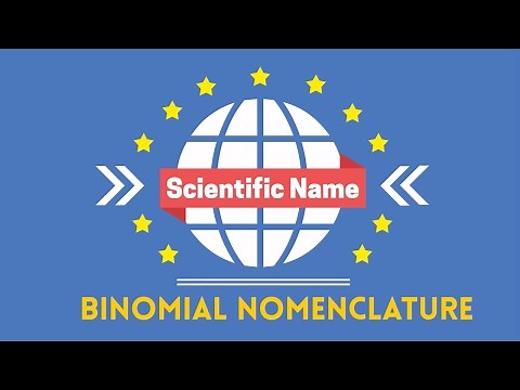 Scientific Name Binomial Nomenclature