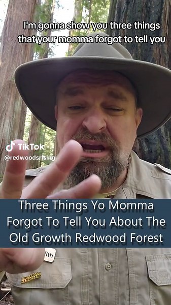 Exploring the Hidden Wonders of the Old-Growth Redwood Forest