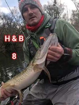 H&B 8 CWC Piglet shad