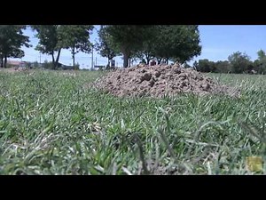 Rodenator_ Boom! Goodbye Gophers