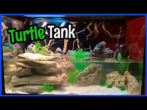 Setting Up A *Natural* TURTLE TANK! (30 Gallon)