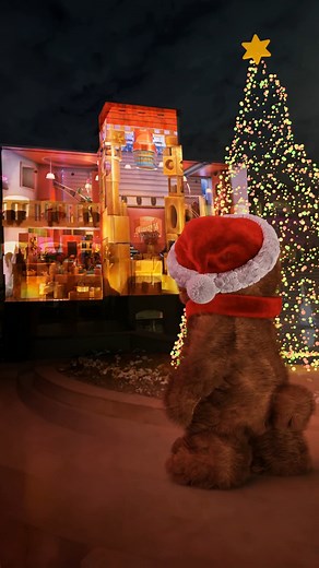 9.6K views · 1K reactions | Christmas at the Princess' newest surprise features resident holiday hero Cocoa the Bear!  Enjoy a bear-y magical performance every night at Enchanted Plaza's reimagined animated show as Cocoa goes on an adventure with Santa to place the star atop the Enchanted Plaza Christmas tree. Purchase tickets now: https://shorturl.at/msR12 | Fairmont Scottsdale Princess | Facebook