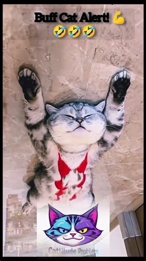 Buff Cat Alert! 💪 This Black Cat Got MASSIVE Muscle Arms 😂#sorts #funny #cat #trending #viral