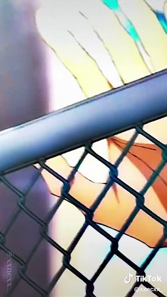 宮村伊澄的桌布及人氣介紹