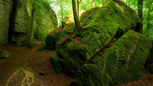 Devil’s Gorge in Germany: Hiking Teufelsschlucht in the Eifel
