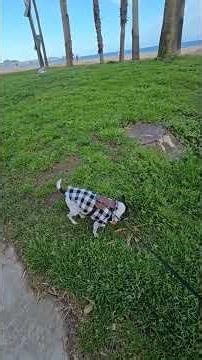 Part 3. Come up with something. #stories