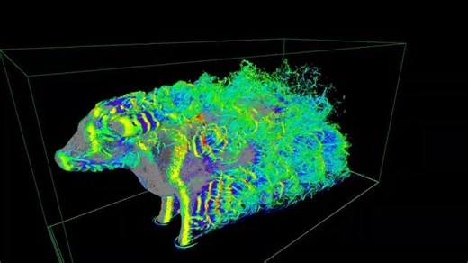 Aerodynamics of a cow | Sean Higgins