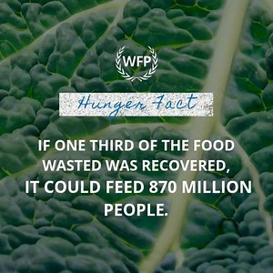 179 reactions · 46 shares | Of the 4 billion metric tons of food we produce each year, one third is wasted, costing the global economy nearly US$750 billion annually. Help us reach #ZeroHunger by reducing your #FoodWaste  | World Food Programme | Facebook