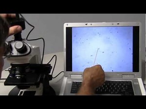 Tutorial on how to clean your camera and microscope lens tube from Bioptechs Inc.