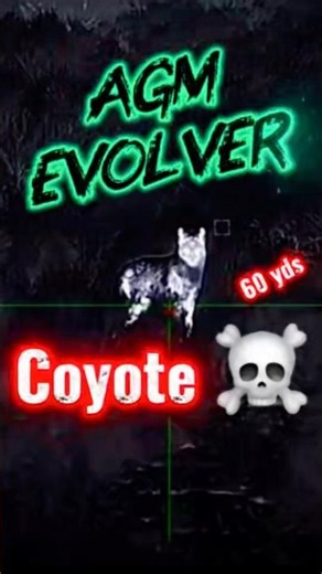 Best New thermal Scope 2026🐺🎯 | Coyote Spotted Through the AGM Evolver#PredatorFever #AGMEvolver