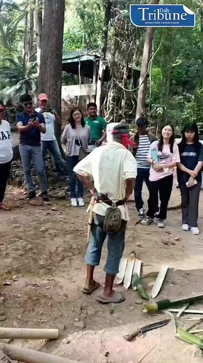 Tata Kasoy of the Pastolan Aeta Tribe teaches tourists basic jungle survival techniques using a bolo and bamboo at the Pamulaklakin Forest Trail in Subic Bay Freeport Zone. #reels #DailyTribune | Daily Tribune