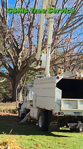 G&Ms Tree Service doing some trimming, small cuts , small mistakes. Takes a little more time but guess what? That window and roof are exactly the way it was when we arrived. | G&Ms Tree Service LLC