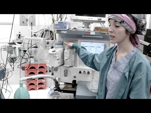 Apollo Machine Check