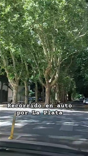 #laplatacity #argentina Recorrido en auto 🚘 #driving #recorridos #exploring