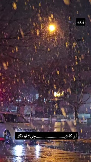 Maximize Your Income with Live Incentive Programs