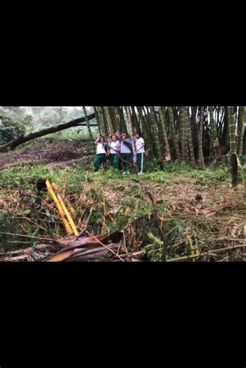 Noo 😫 #simulacros #icfes #prom #25 #fypシ゚ #paratii @Lala 🫧 @🍒 @Wendy.🤍 @world _zen @willian martinez @Åņđřė§🤑 @Christian G'f @Ángel Manuel Falla Rodriguez @Dayana Martinez @Fernanda🪐! @Yaira Jimena 😍!