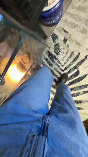 Animal BOOPS, SPEED RUN!!!1!1! CatAleah’s Critters Farm edition! 👩‍🌾 #animals #farm #pets #418 | Cataleah Lynn