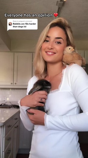 Reply to @paigeak . God bless ❤️. #rabbits #farmlife #chicken #Familypets