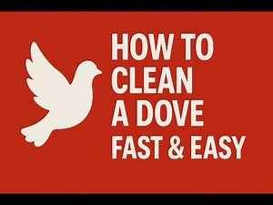 How to clean a dove - fast and easy!