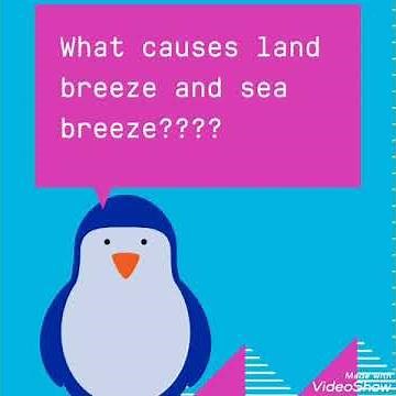 Sea breeze and land breeze