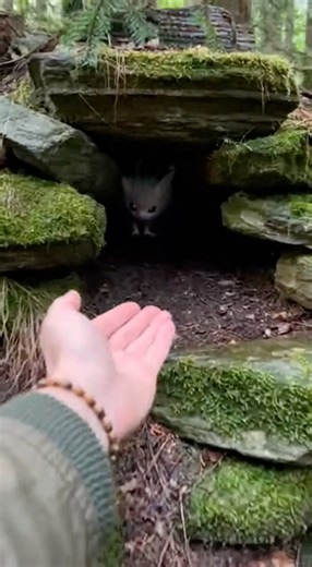 A Hidden Fantasy Creature Emerges After I Calm It Down