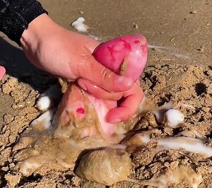 2.2M views · 2K reactions | Amazing Creatures Found on the Beach | Green Bean | Facebook