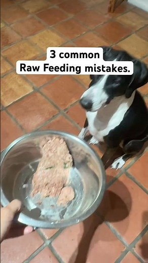 3 Raw Feeding mistakes - & how to avoid them