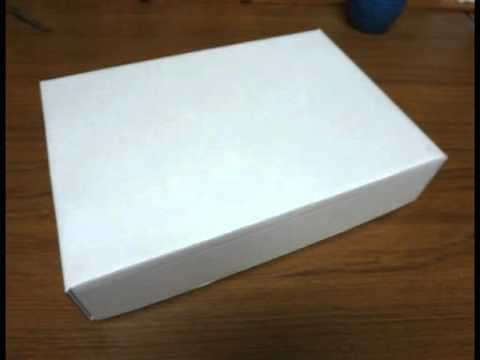 How to Make an Insect Collection: Part 11 of 11: Storage and Display