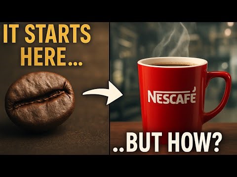 From Bean to Cup: How Coffee Is Really Made (Factory Process Explained)