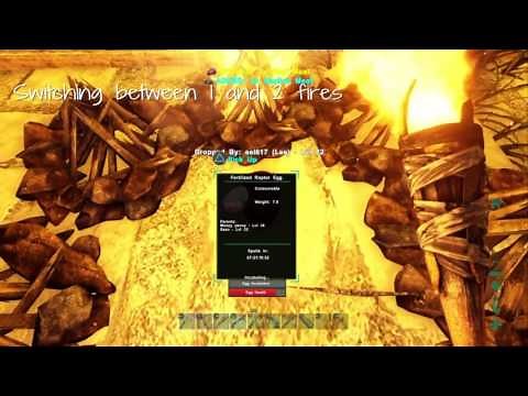 Raptor egg hatching Ark Survival Evolved PS4