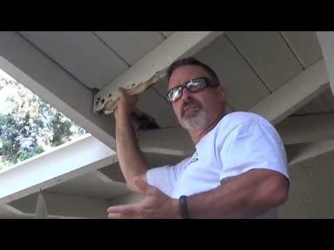 Roof Repair- Termite and Dry Rot Damage