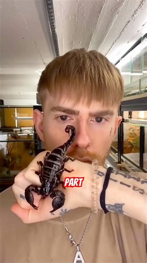 This Man Can Turn Tiny Insects Into GIANT Monsters 😱🕷️ | Creepy Real-Life Transformation