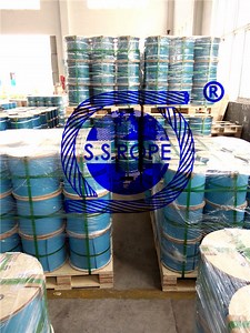 [Hot Item] Stainless Steel Wire Rope Hoist Rope, Logging, Cableway