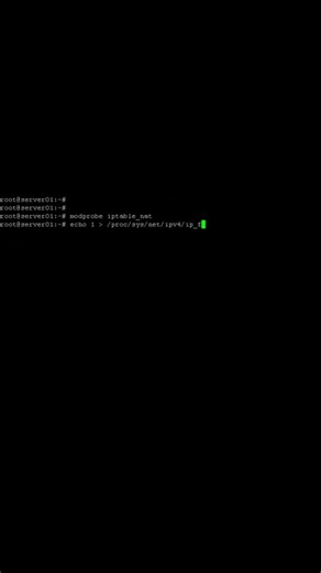 COMANDOS PARA TRANSFORMAR SEU LINUX EM ROTEADOR! #shorts #redes #networking #linux