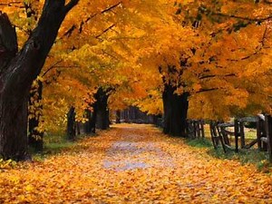 Antonio Vivaldi - Autumn