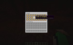 10 most valuable items in Minecraft 1.19 update