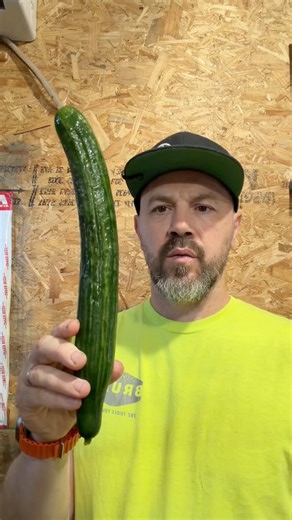 5.4K views · 30 reactions | Must Have Moisture Meter - Helps Prevent Rot, Mold & Etc. Can be used on wood, stone, drywall, etc. #moisture #moisturemeter #rot #mold #homeownertips | Mastering Mayhem | Facebook