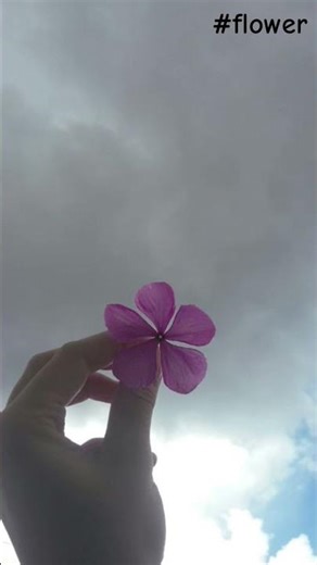 natural flower video status ....❤️#flower#naturalbeauty